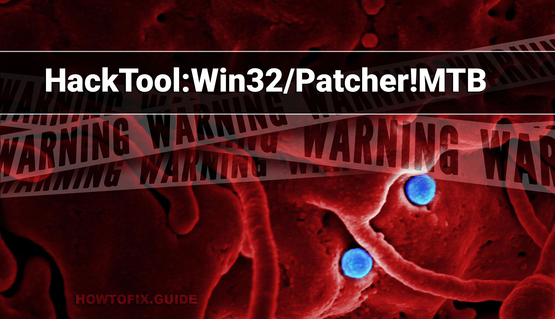HackTool:Win32/Patcher!MTB HackTool Patcher Remoção