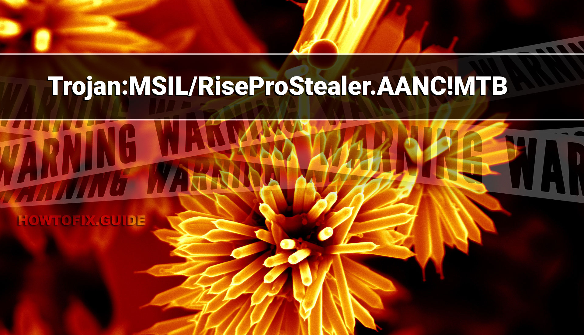 Trojan:MSIL/RiseProStealer.AANC!MTB Trojan RisePro Stealer Remoção